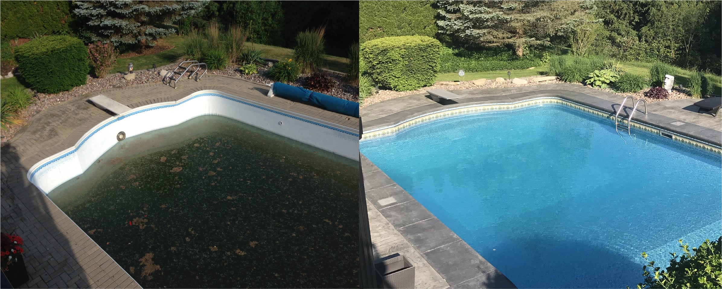 Pool Renovation - Why, When, How? - cracknellpool.com