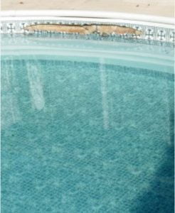 The Best Liners for Pools - cracknellpool.com